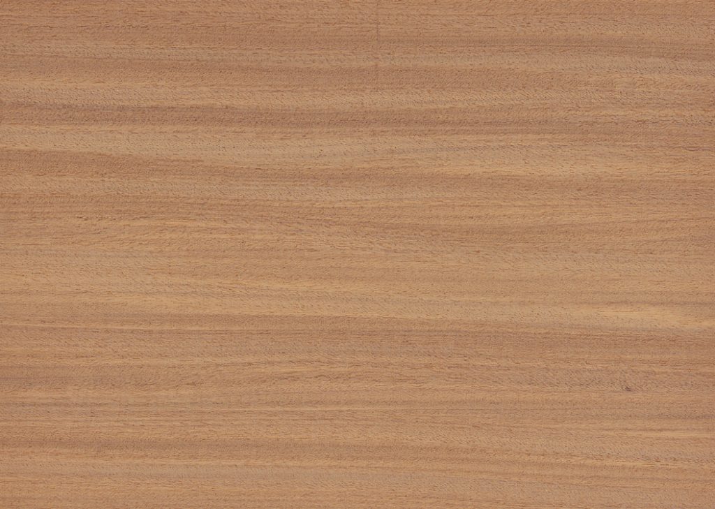 Afrormosia – Dieterle Furniere