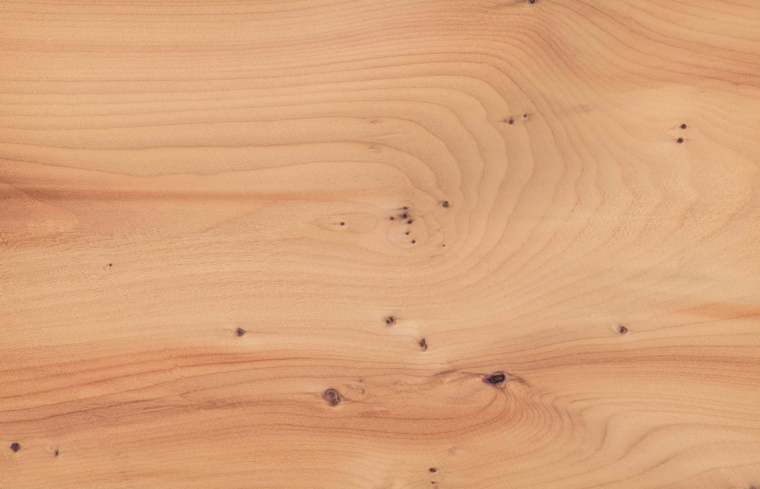 Eibe – Dieterle Furniere