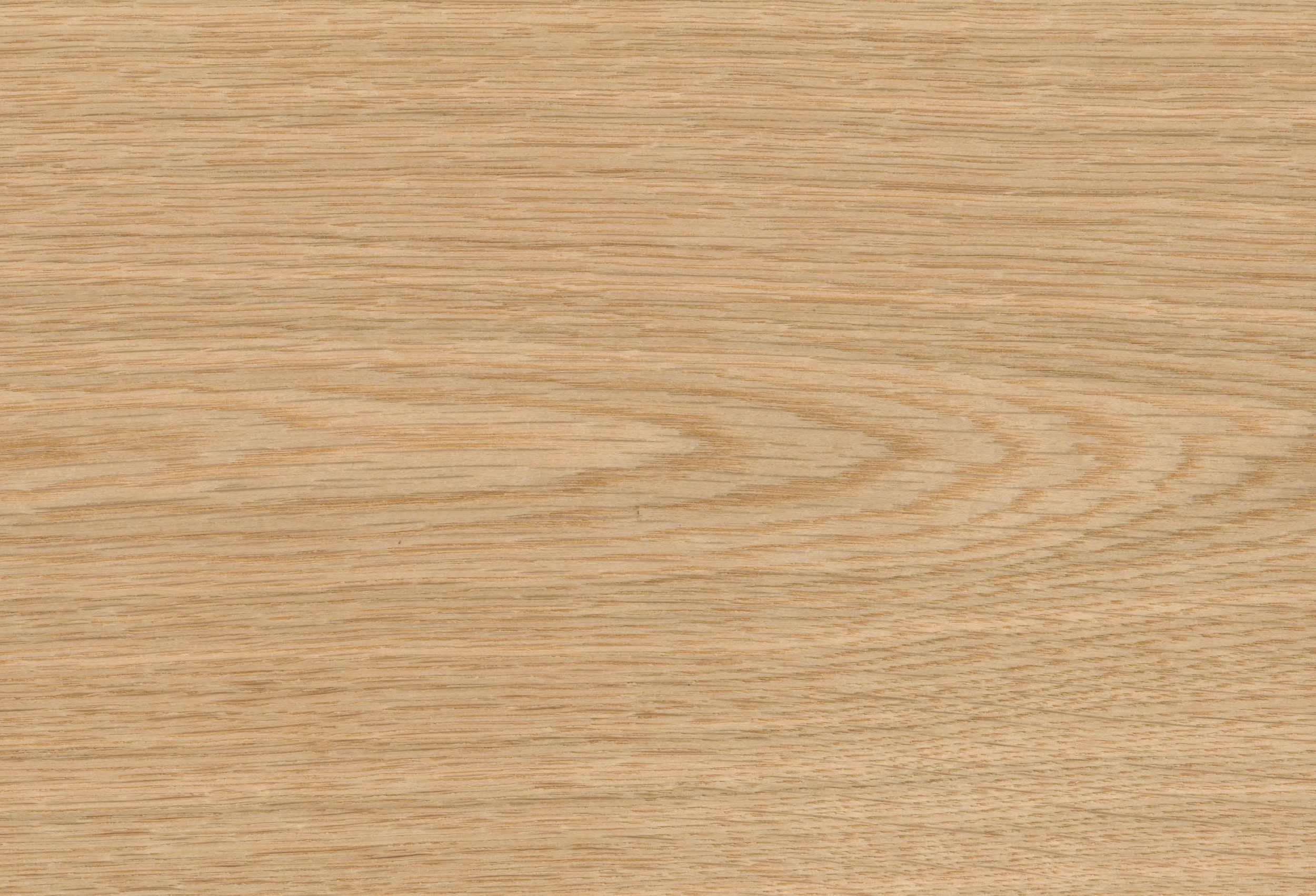 Eiche, europäisch – Dieterle Furniere