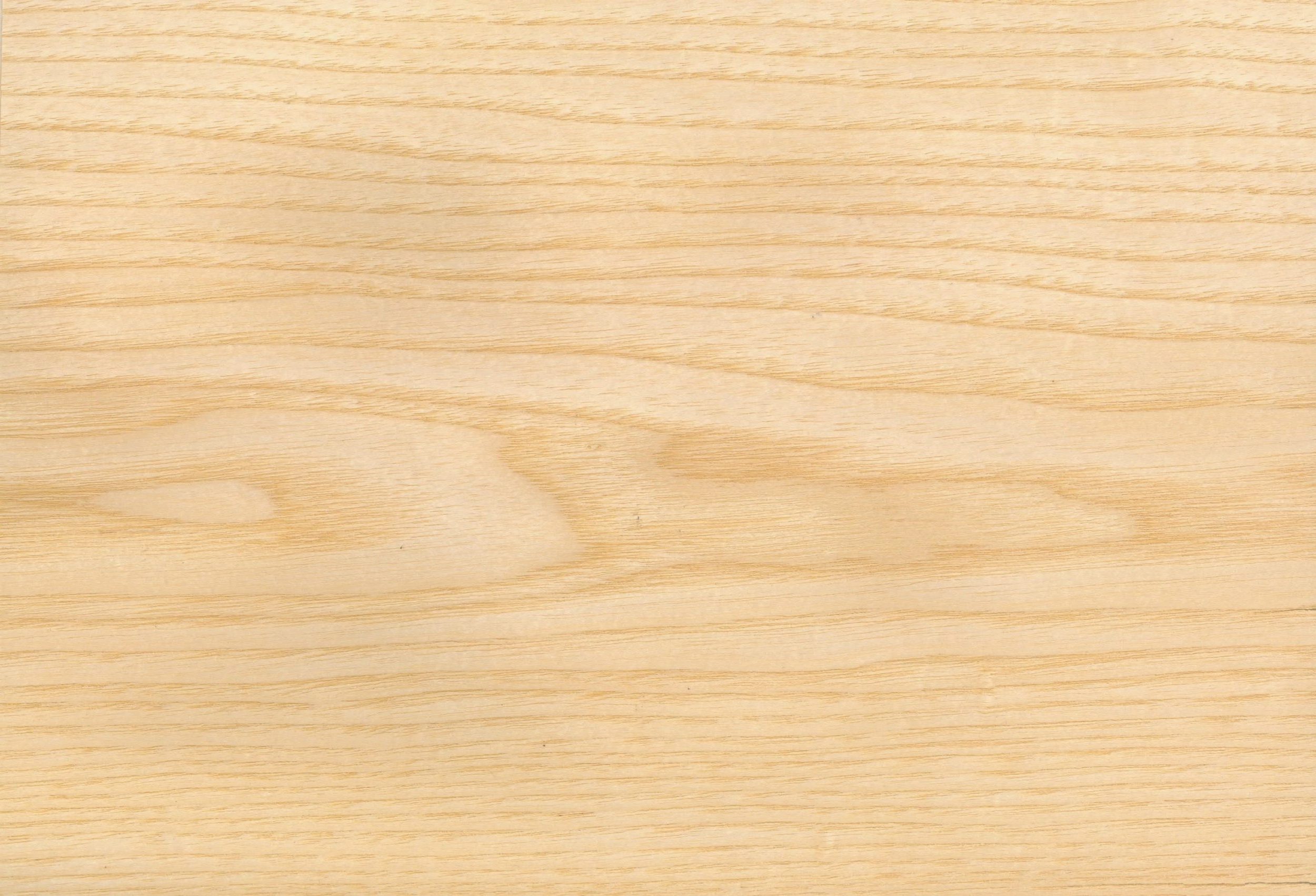 Esche – Dieterle Furniere