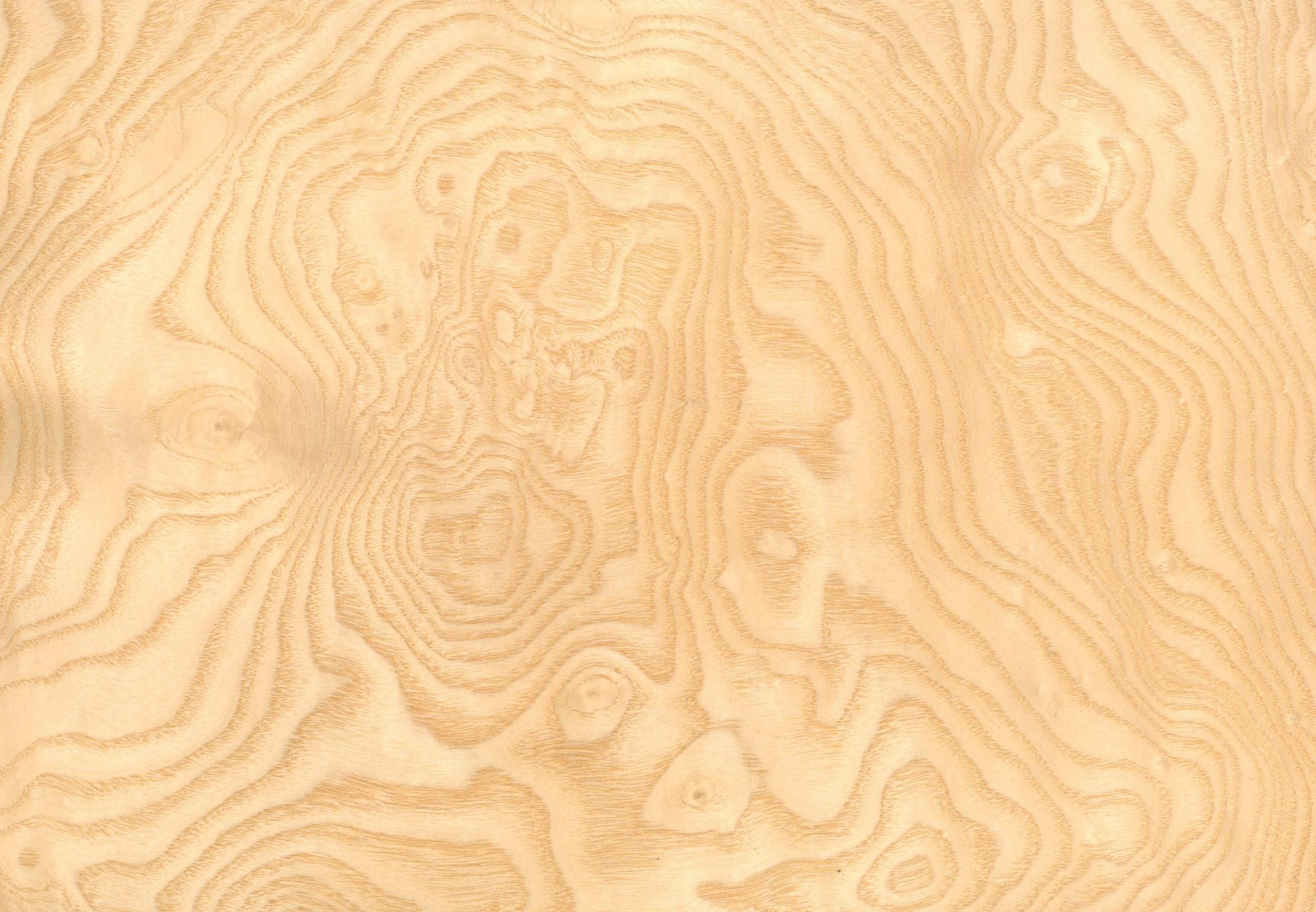 Esche Maser – Dieterle Furniere