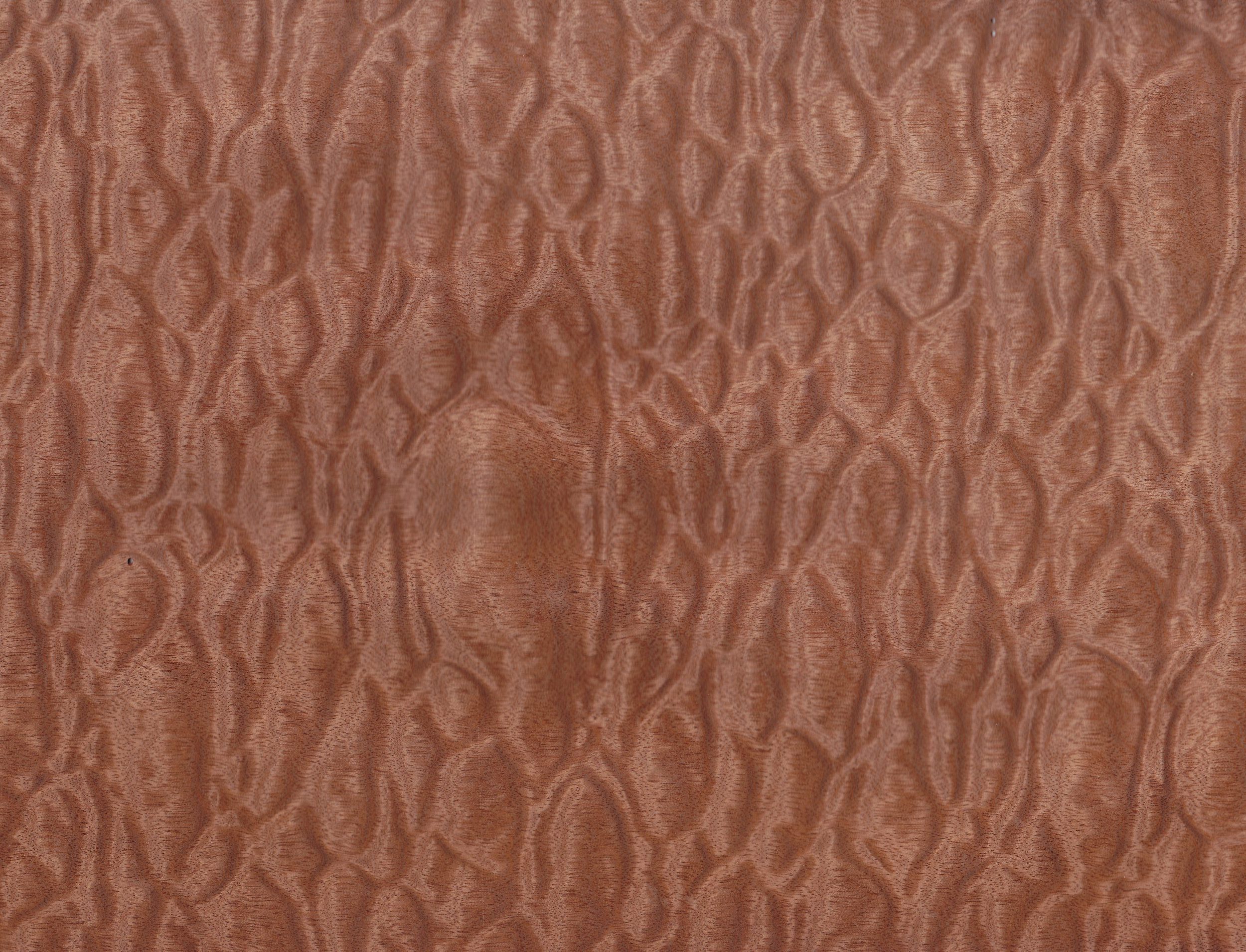Mahagoni, Sapeli Pommelé – Dieterle Furniere