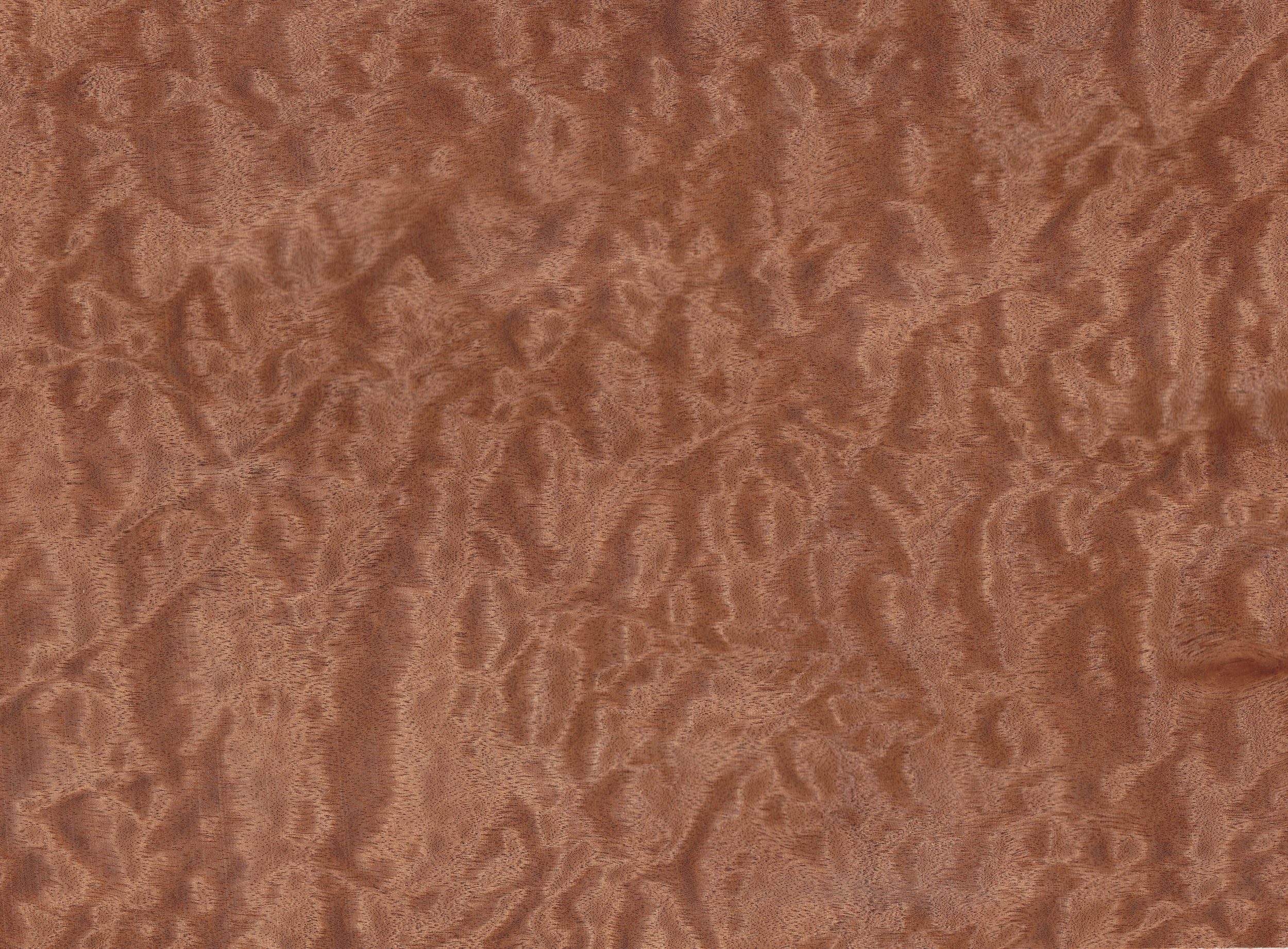 Mahagoni, Sapeli Pommelé – Dieterle Furniere