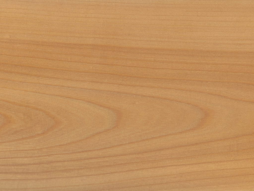 Rüster, Graurüster – Dieterle Furniere