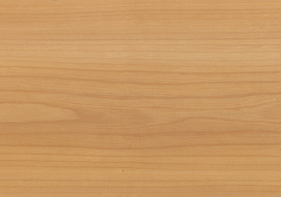 Rüster, Graurüster – Dieterle Furniere